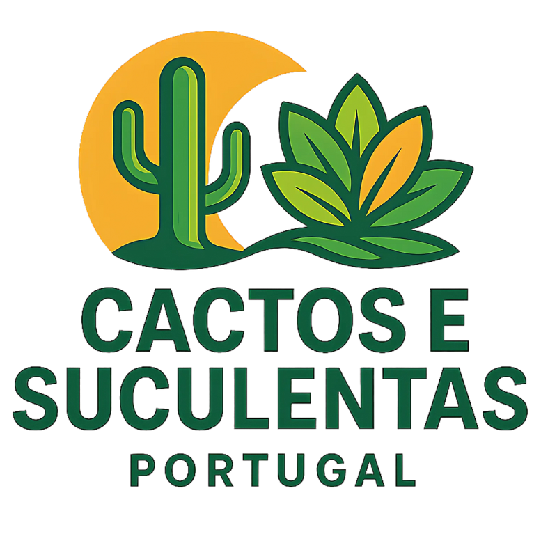 Todos os Produtos | Cactos e Suculentas Portugal