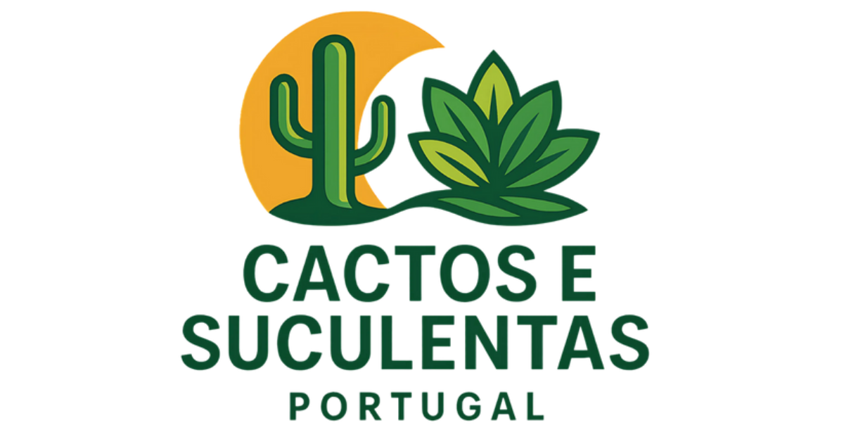 Cactos e Suculentas Portugal | Loja Online de Plantas & Kokedamas